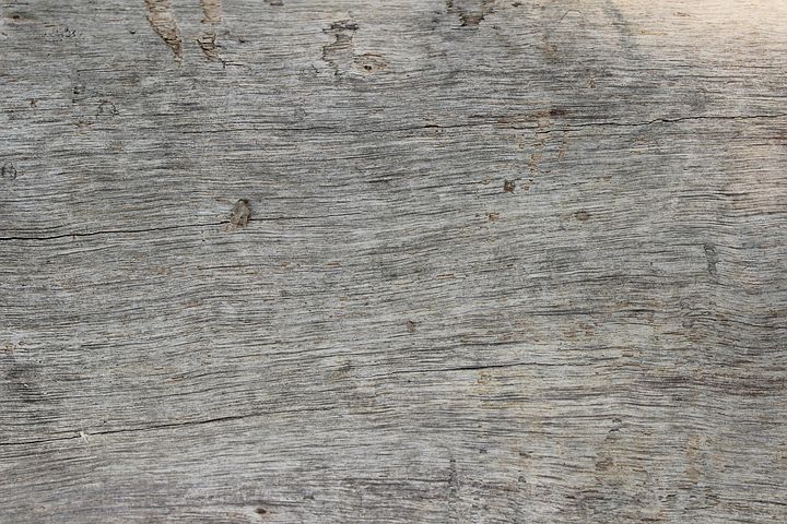 50+ kostenlose Neutraler Hintergrund und Neutral-Bilder - Pixabay