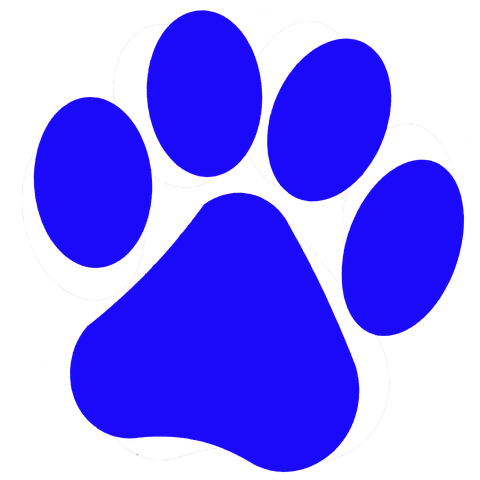 40+ Free Cat Footprint & Cat Images - Pixabay