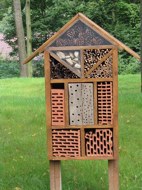 20+ Free Bug Hotel & Nature Images - Pixabay