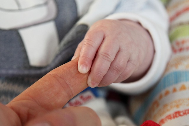 Little Hand Handshake Finger - Free photo on Pixabay - Pixabay