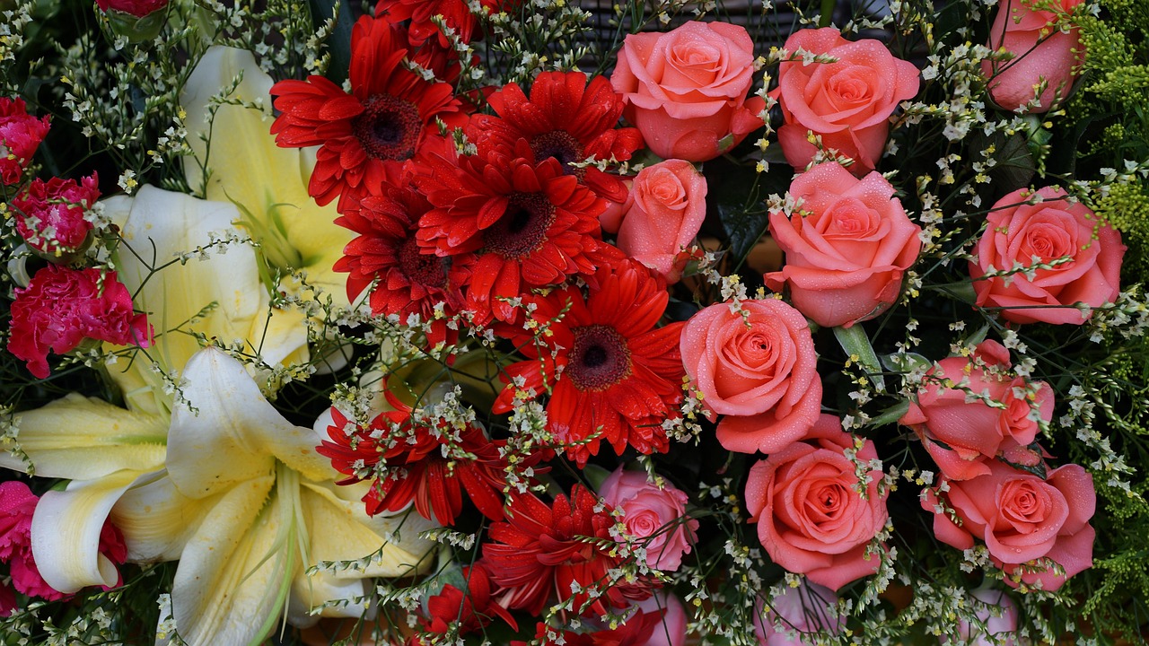 Flower Nature Beautiful - Free photo on Pixabay - Pixabay