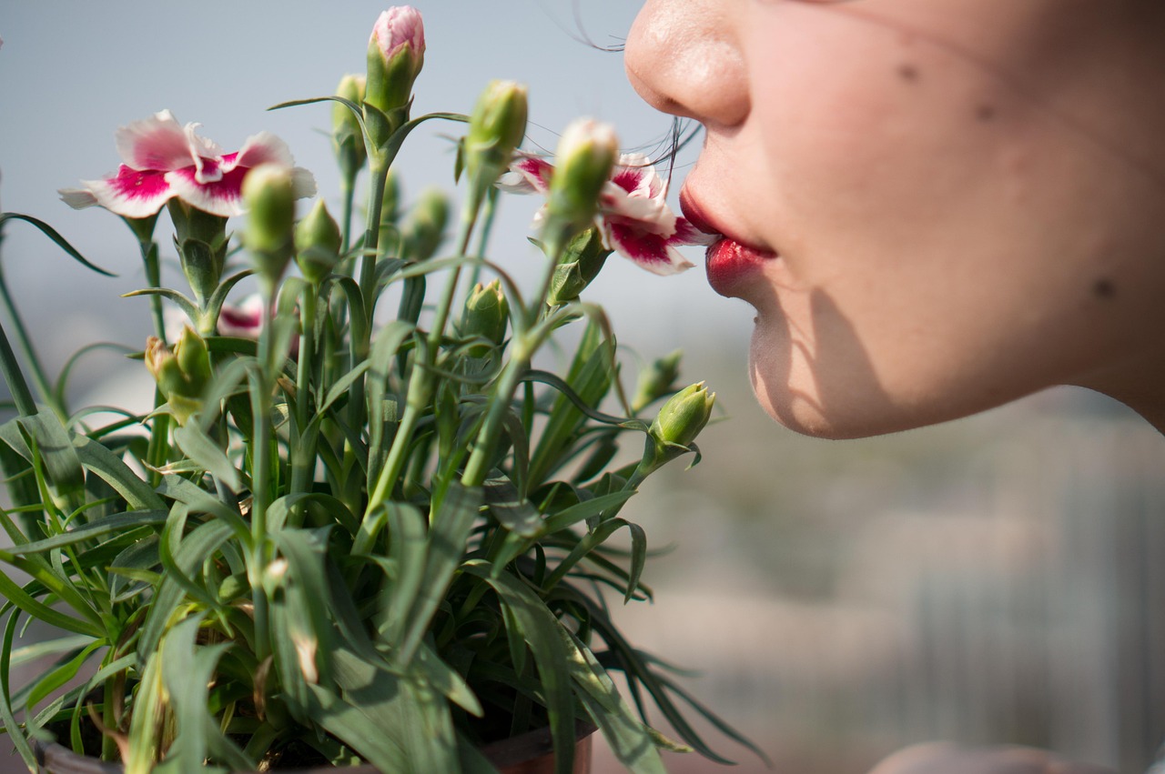 40,000+ Free Small Women & Women Images - Pixabay