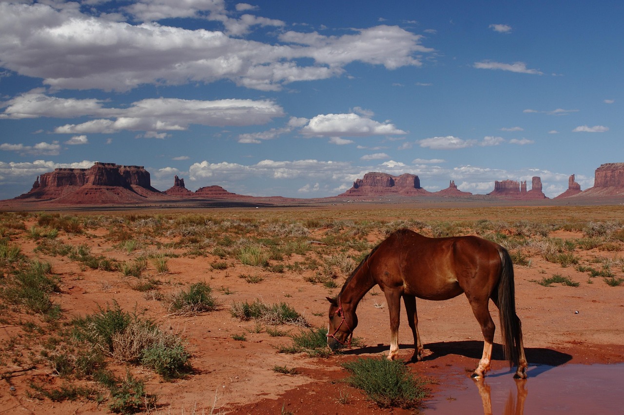 20,000+ Free Monuments & Monument Valley Images - Pixabay