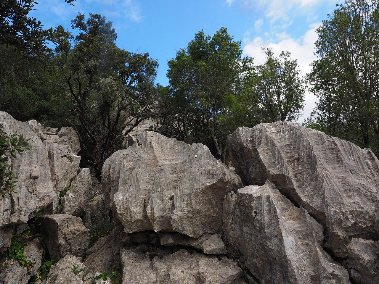 Rock Limestone - Free photo on Pixabay - Pixabay