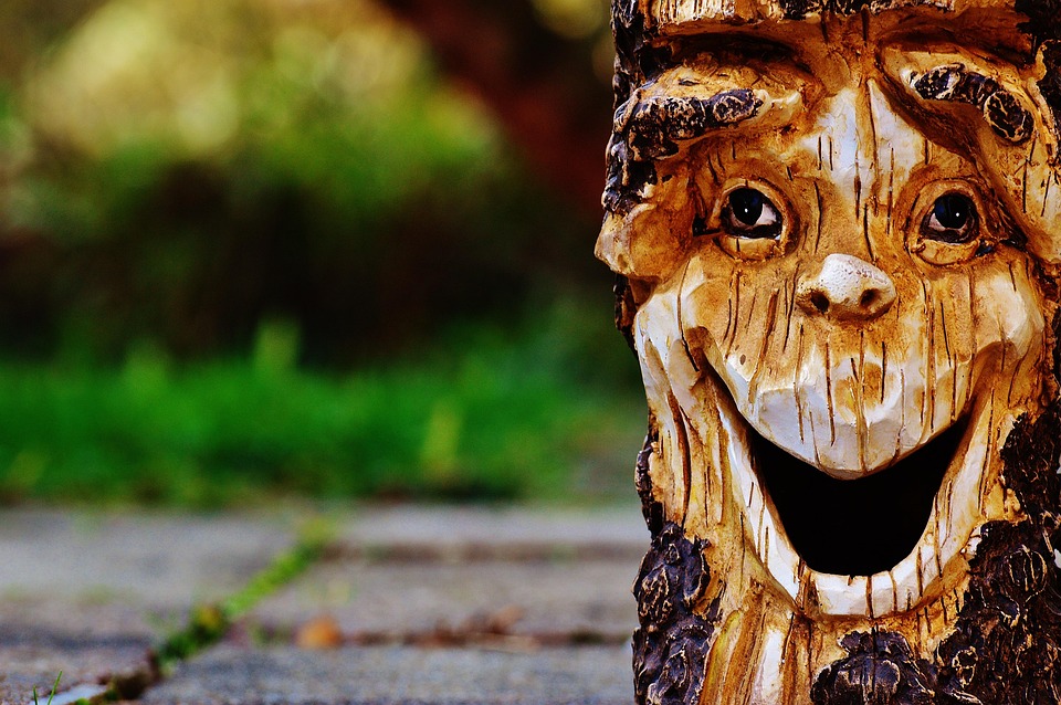 Tree Trunk Face Fash - Free photo on Pixabay