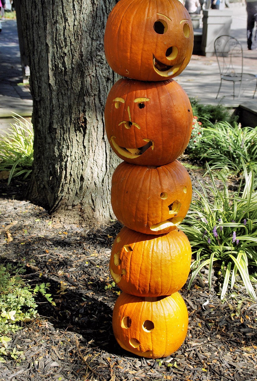 Amerika Serikat Halloween Labu - Foto gratis di Pixabay - Pixabay