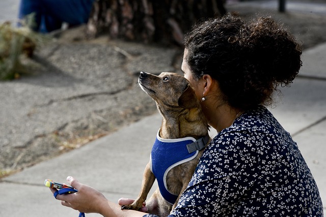 Woman Dog Pet - Free photo on Pixabay - Pixabay