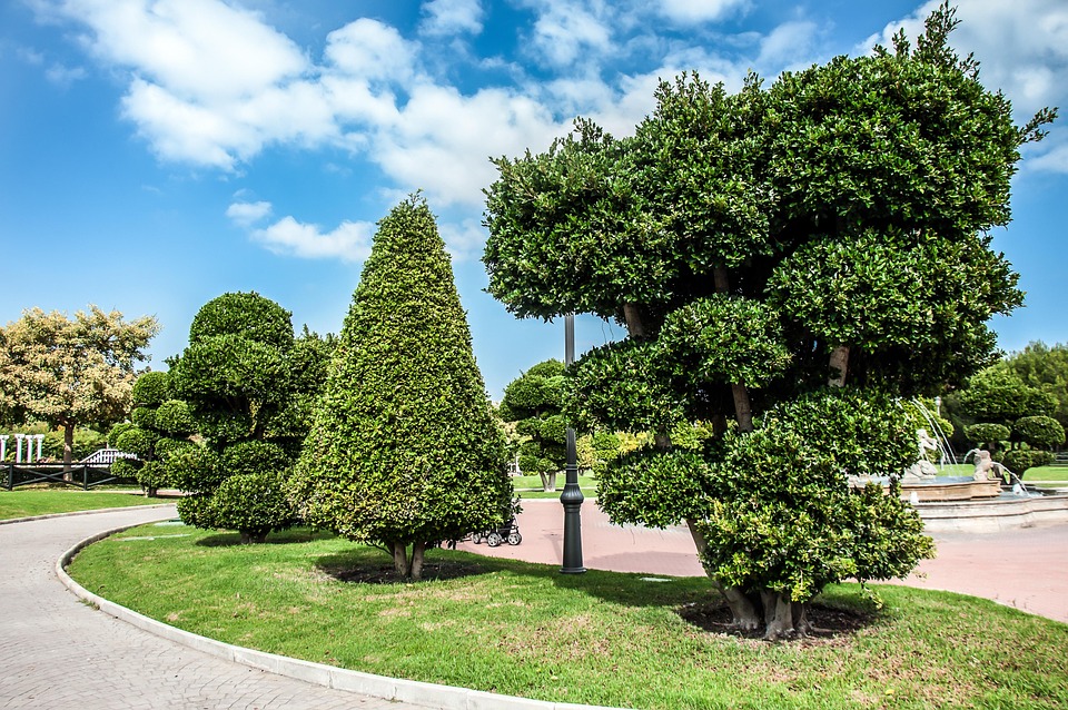 Parque Plantas Configuras - Foto gratis en Pixabay - Pixabay