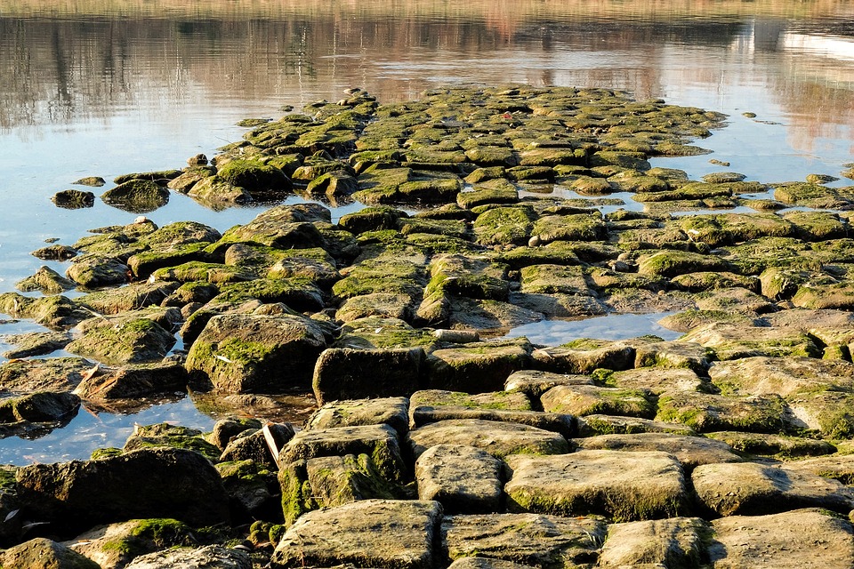 Stones Water Flow - Free photo on Pixabay - Pixabay