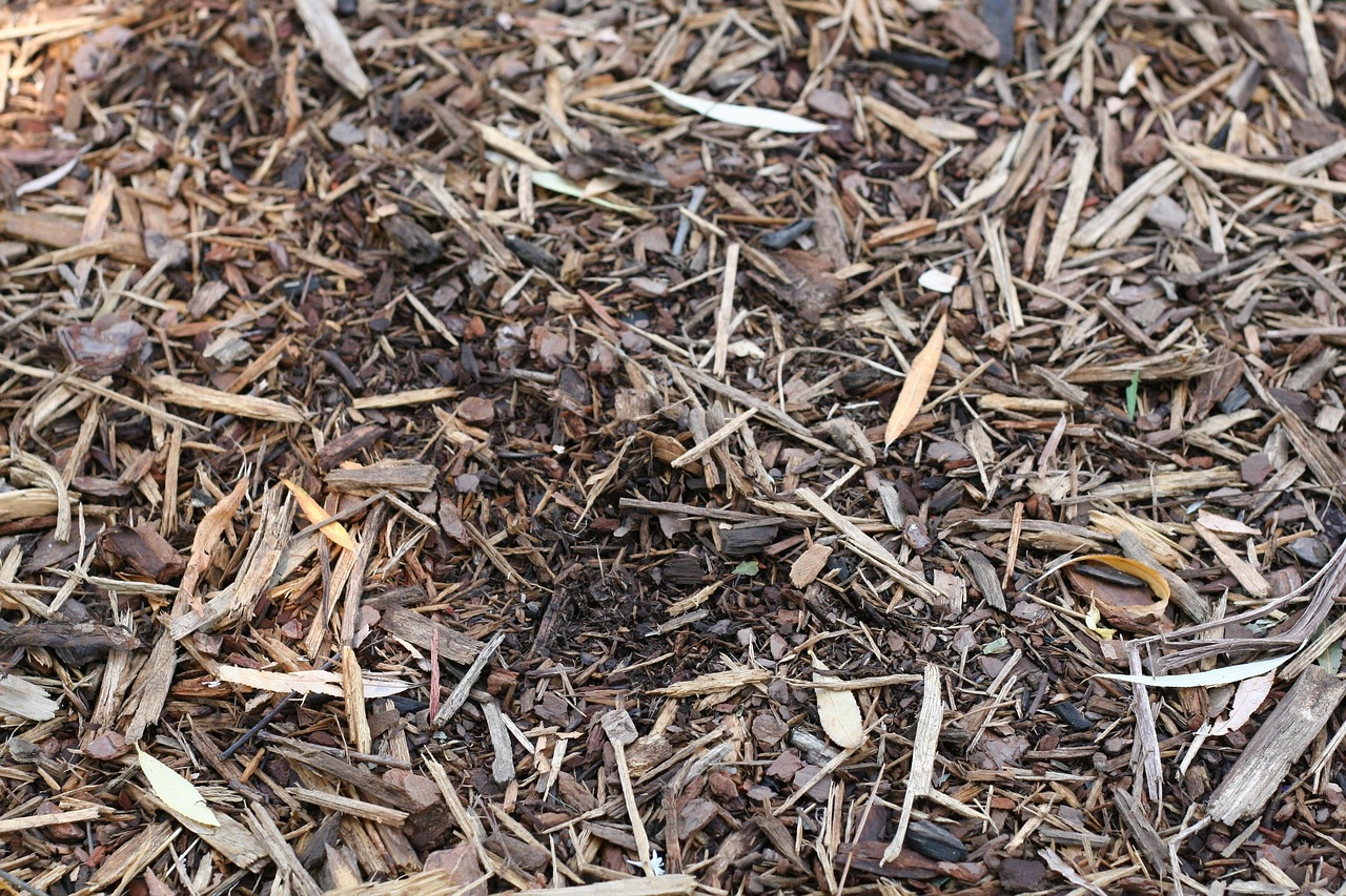 Mulch Dirt Topsoil - Free photo on Pixabay - Pixabay