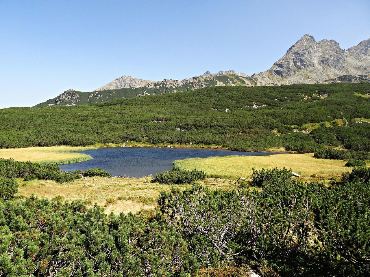 Berg Skog Panorama - Gratis foto på Pixabay - Pixabay