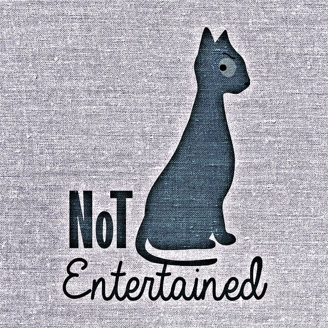 Gato Abstracto Tejido Imagen Gratis En Pixabay Pixabay