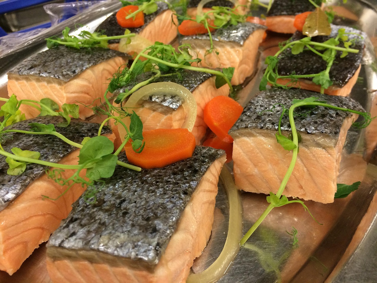 Ikan Salmon Rebus Dingin - Foto gratis di Pixabay - Pixabay
