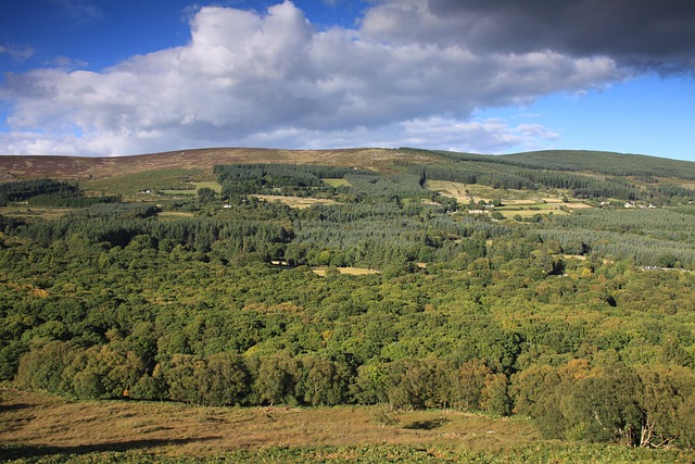 Glencree Des Bois Wicklow - Photo gratuite sur Pixabay - Pixabay