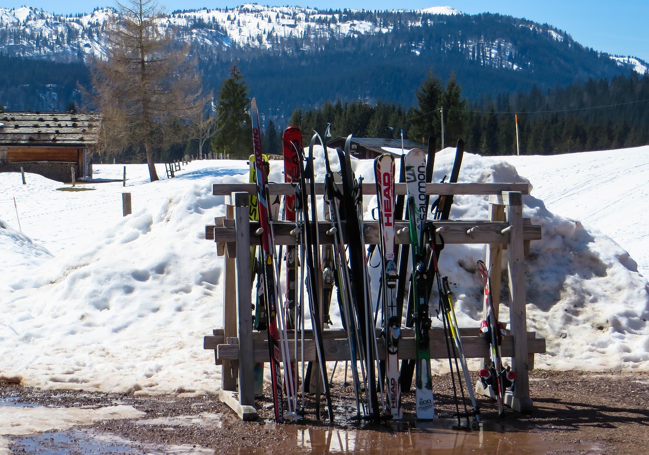 Esquiar Esqui Inverno Bastões De - Foto gratuita no Pixabay - Pixabay