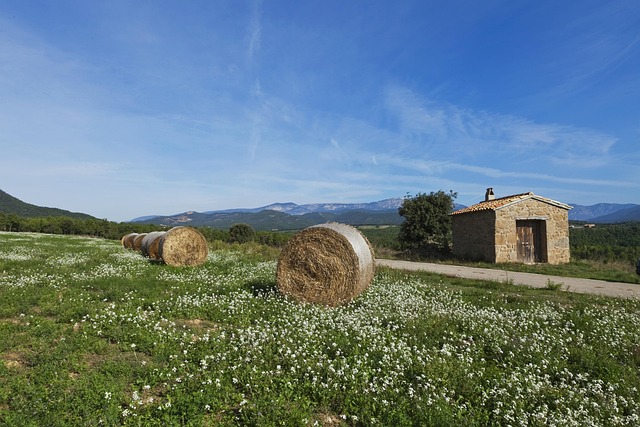 Paysage Paille La Nature - Photo gratuite sur Pixabay - Pixabay