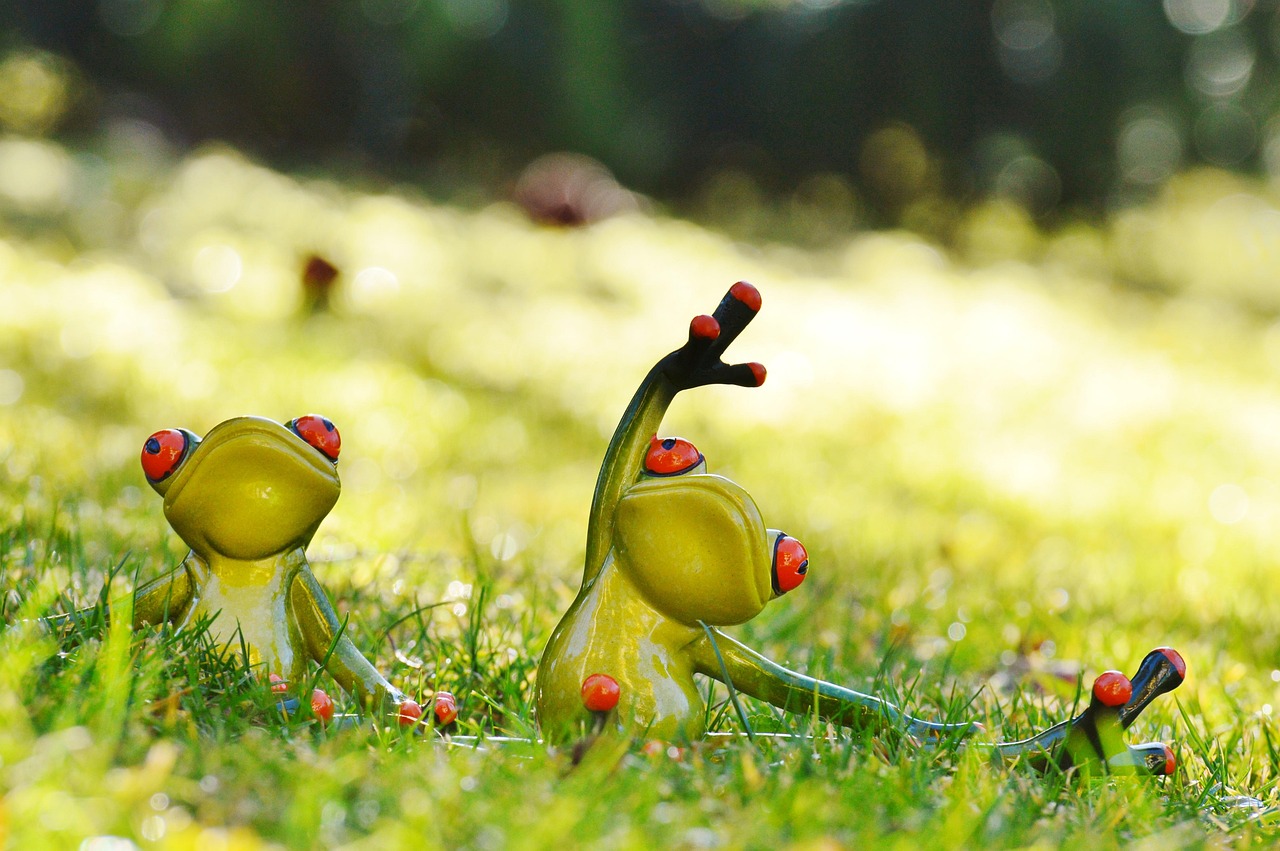 Más de 500 imágenes gratis de Animales Graciosos y Animal - Pixabay