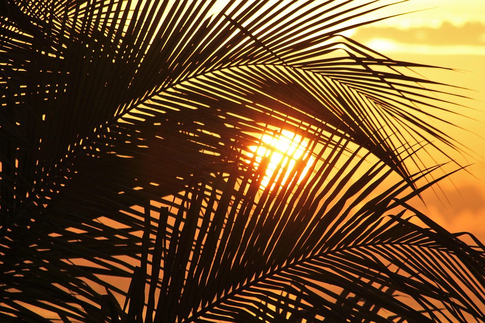 Sun Of Jamaica Caribbean Paradise - Free photo on Pixabay
