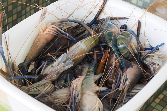 Même Les Crevettes D'Eau Crevette - Photo gratuite sur Pixabay