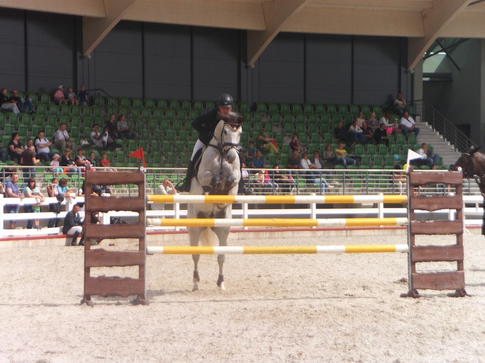 Fahrt Reiten Springreiten - Kostenloses Foto auf Pixabay - Pixabay