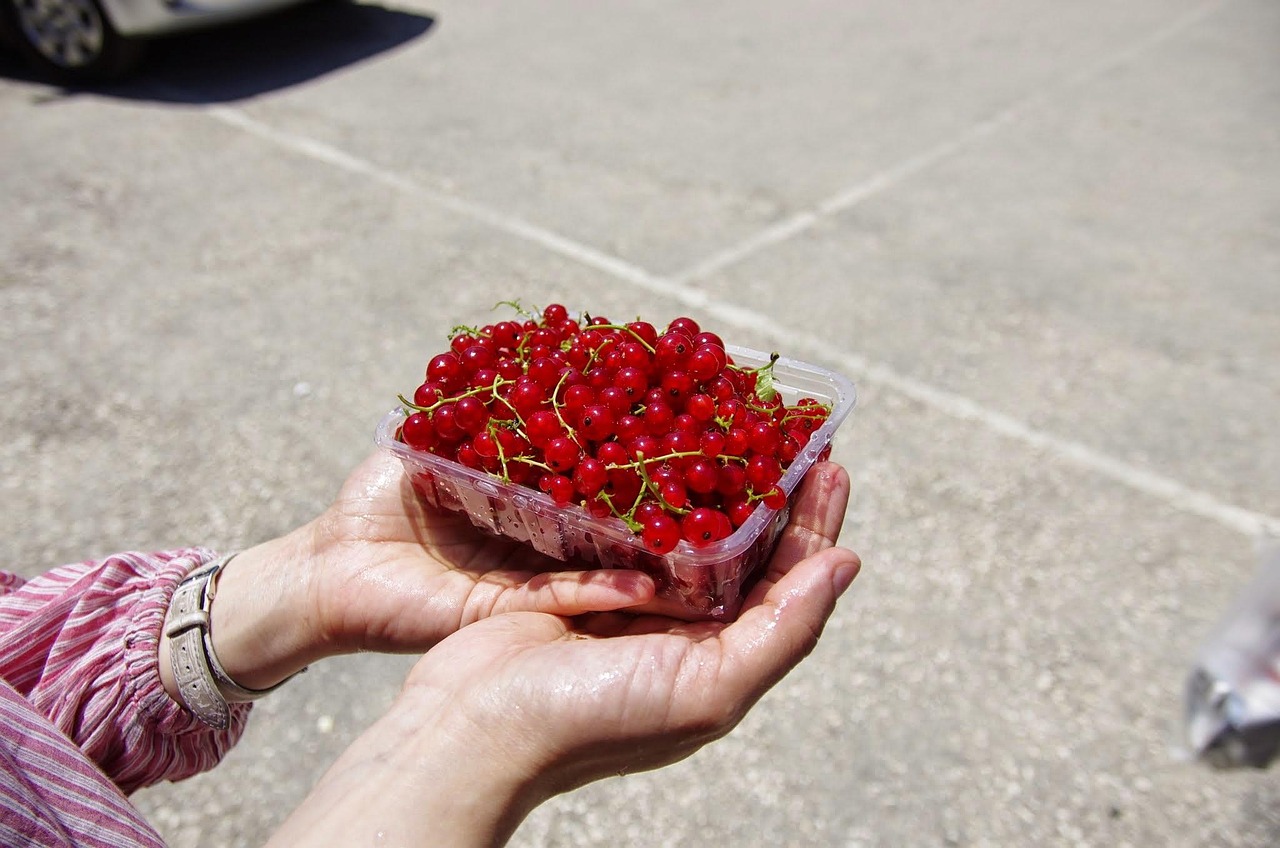 200+ Free Cranberry & Cranberries Photos - Pixabay