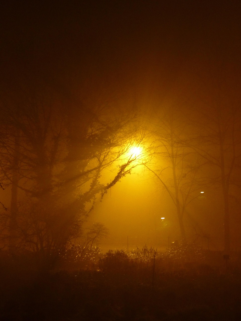Nebel Nacht Licht - Kostenloses Foto auf Pixabay - Pixabay