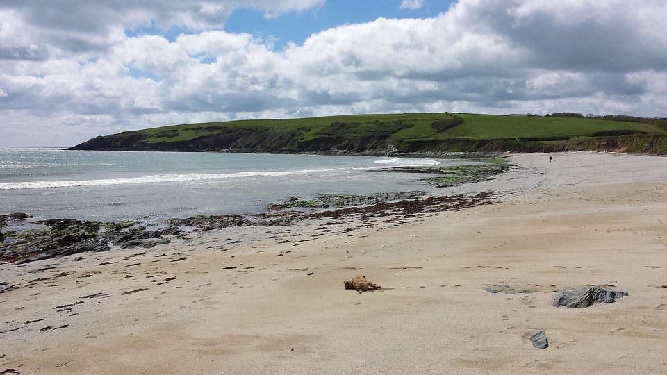 Devon Beach Coast - Free photo on Pixabay - Pixabay
