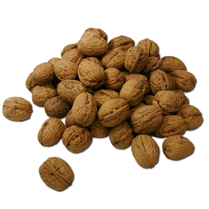 Walnut Walnuts Nuts - Free photo on Pixabay - Pixabay