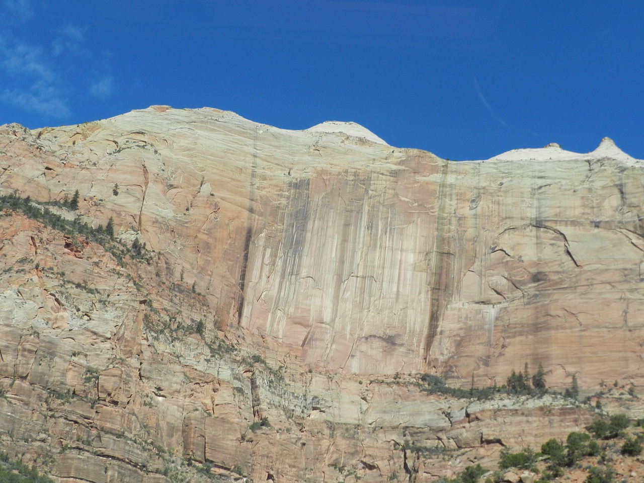 200+ Free Zion National Park & Utah Images - Pixabay