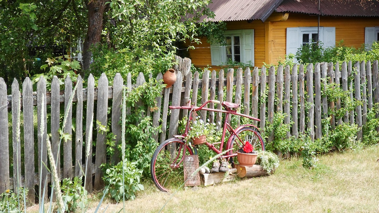 40+ Free Traditional Bicycle & Bicycle Images - Pixabay