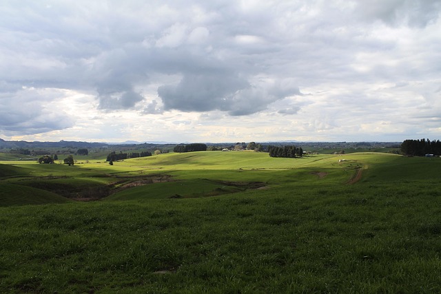 New Zealand Farmland - Free photo on Pixabay