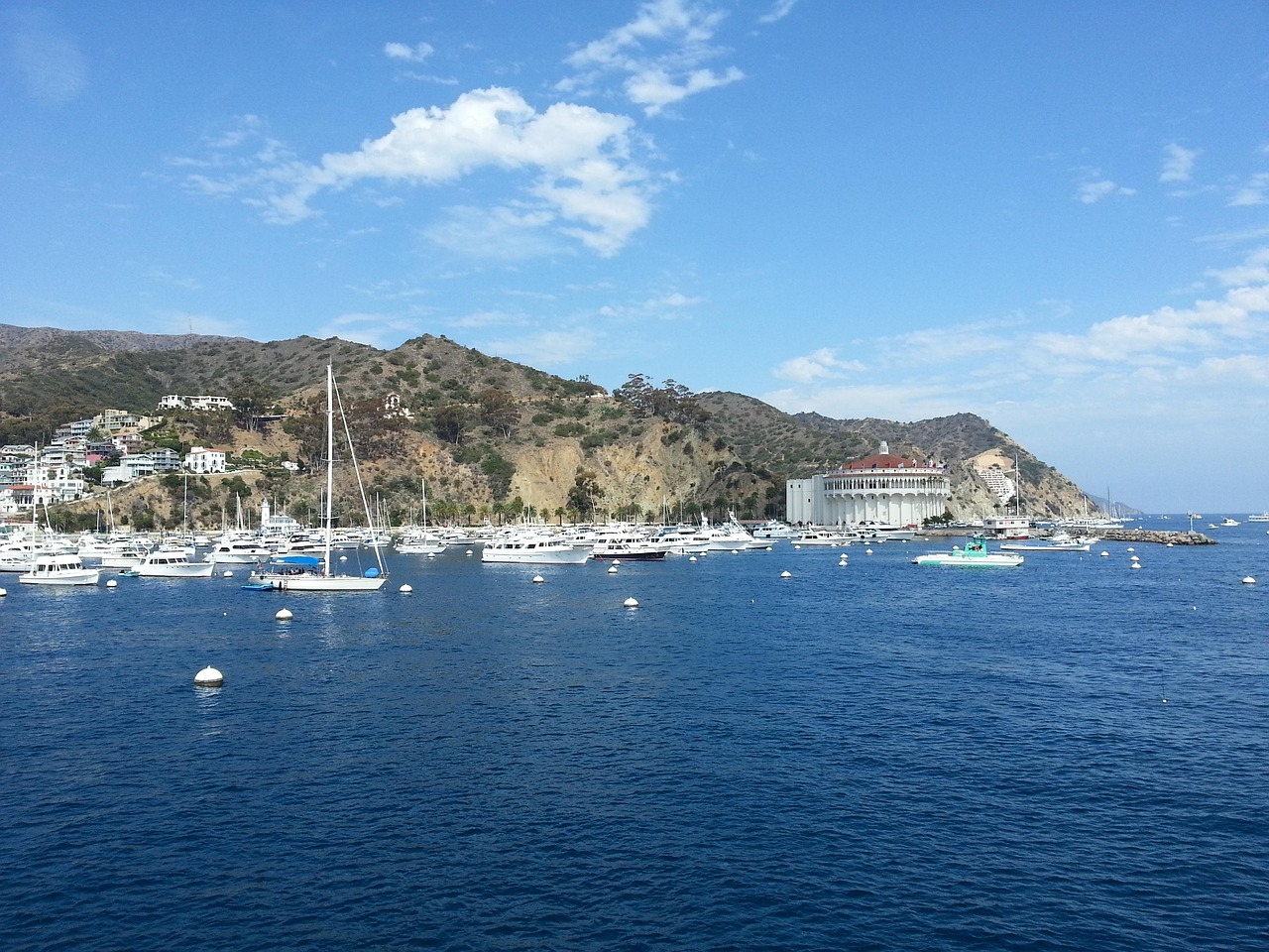 40+ Free Catalina Island & Catalina Images - Pixabay