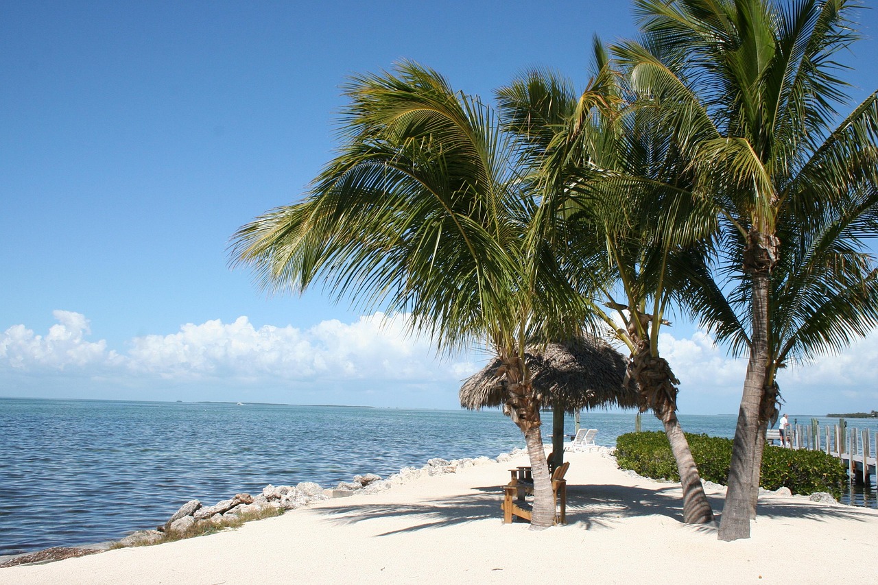 Sea Florida Beach - Free photo on Pixabay - Pixabay