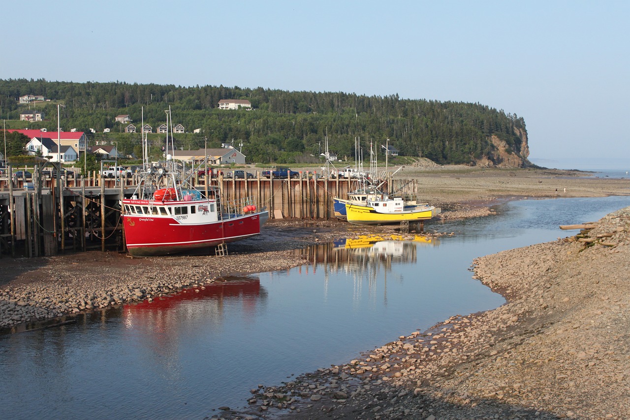 100+ Free New Brunswick & Canada Images - Pixabay