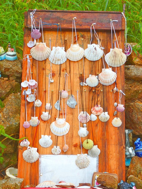 Camino Santiago Scallop Shells - Free photo on Pixabay - Pixabay