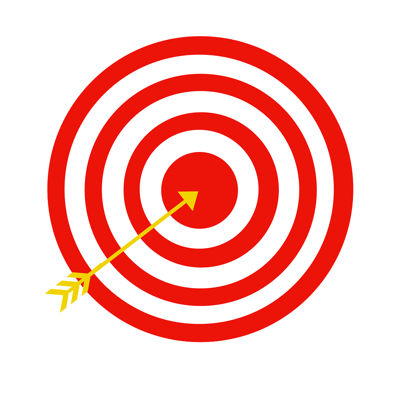 Portable Practice Archery Bag EVA Foam Moving Arrow Target – Portable ...