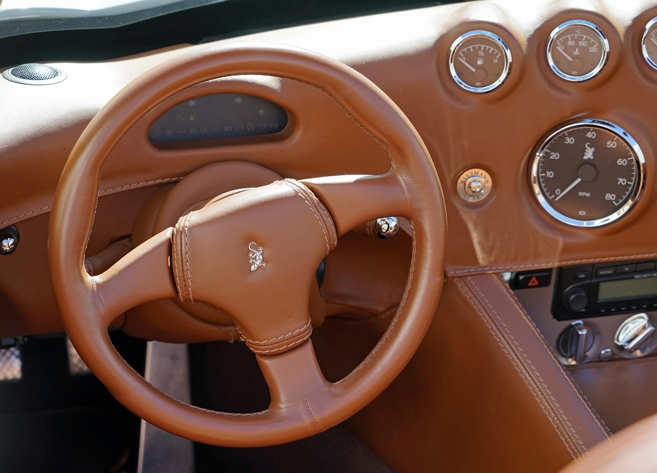Wiesmann Car Interior