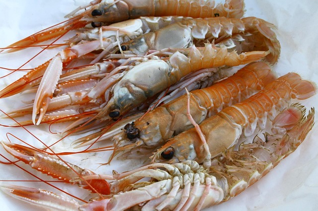 Langoustine Shellfish Seafood - Free photo on Pixabay - Pixabay