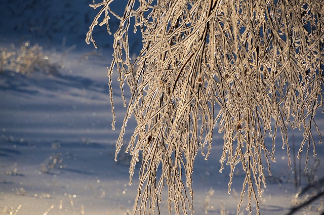 Hiver La Glace - Photo gratuite sur Pixabay - Pixabay