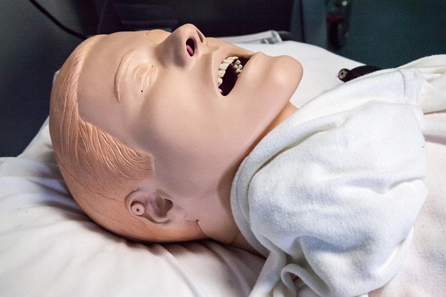 Paramedics Doll Hospital Medical - Free photo on Pixabay