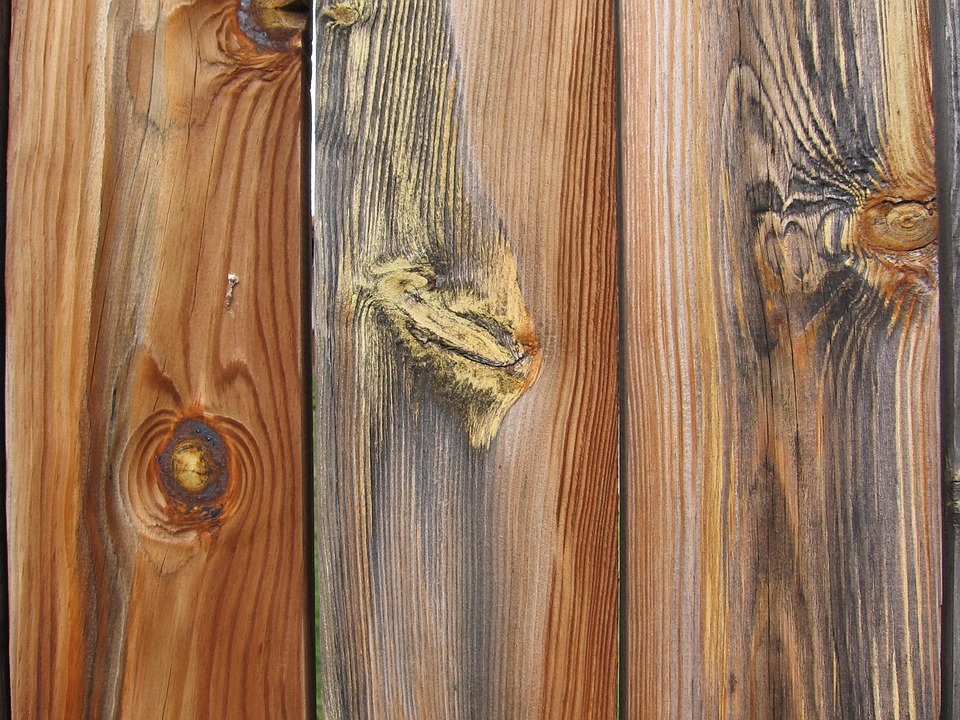 Wood Texture Wooden - Free photo on Pixabay - Pixabay