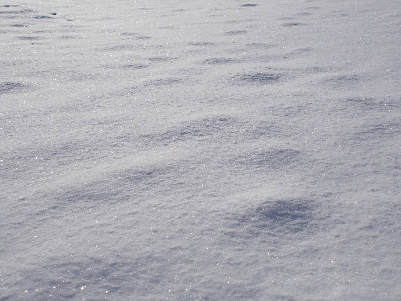 Neve Natureza Branco - Foto gratuita no Pixabay - Pixabay