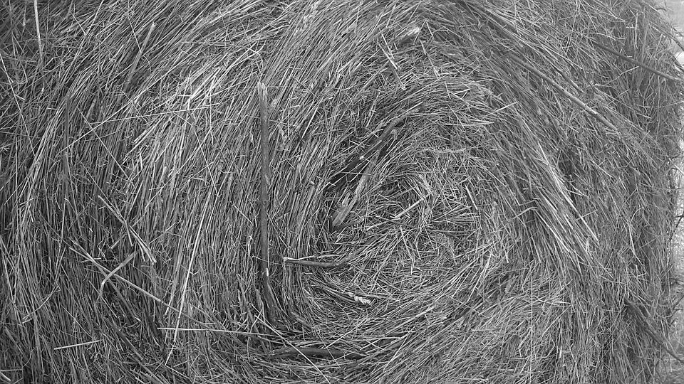 Hay Bale Field Free Photo On Pixabay Pixabay hay-bale-field-free-photo-on-pixabay-pixabay