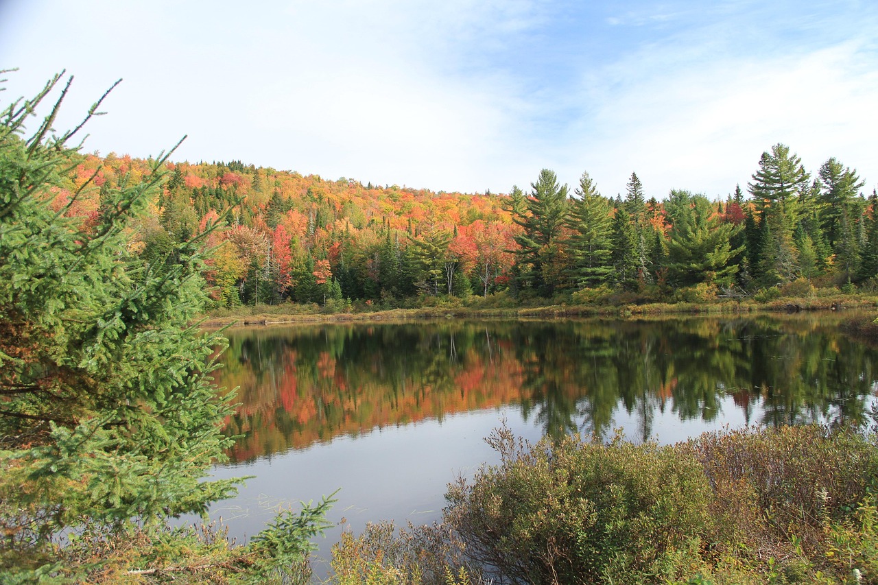 Paisaje Quebec Lago - Foto gratis en Pixabay - Pixabay