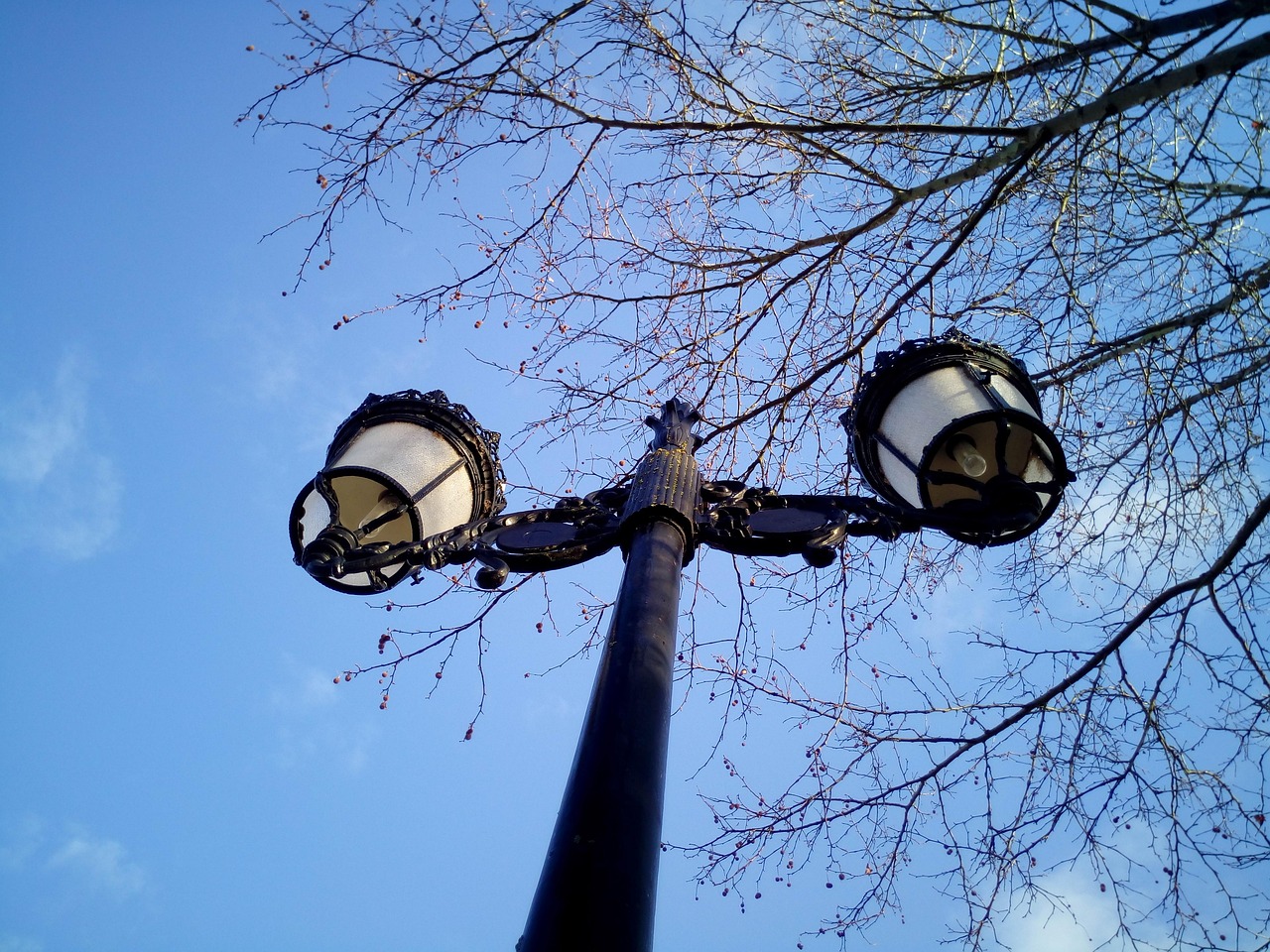 Streetlights Illumination Darling - Free photo on Pixabay - Pixabay