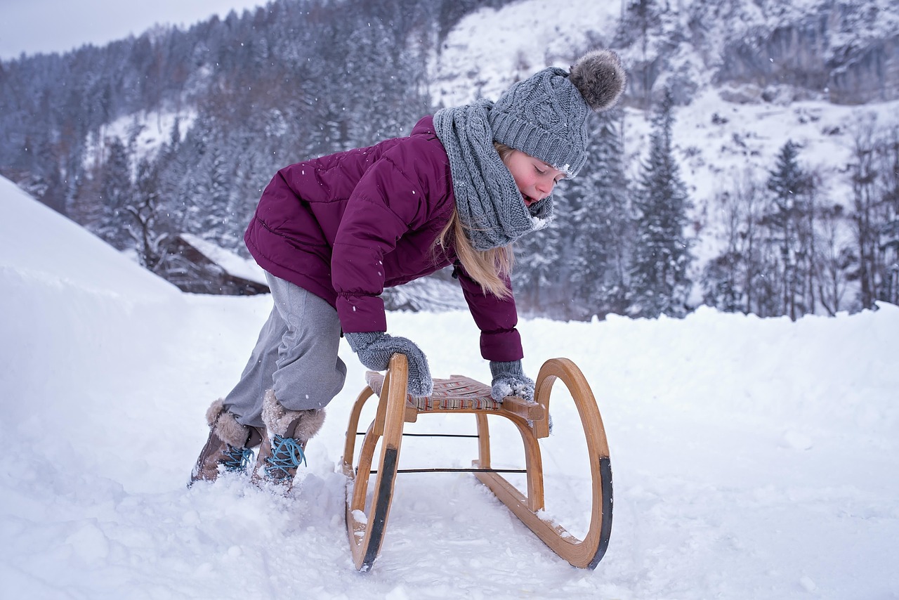 Plus de 200 images de Une Luge et de Luge - Pixabay