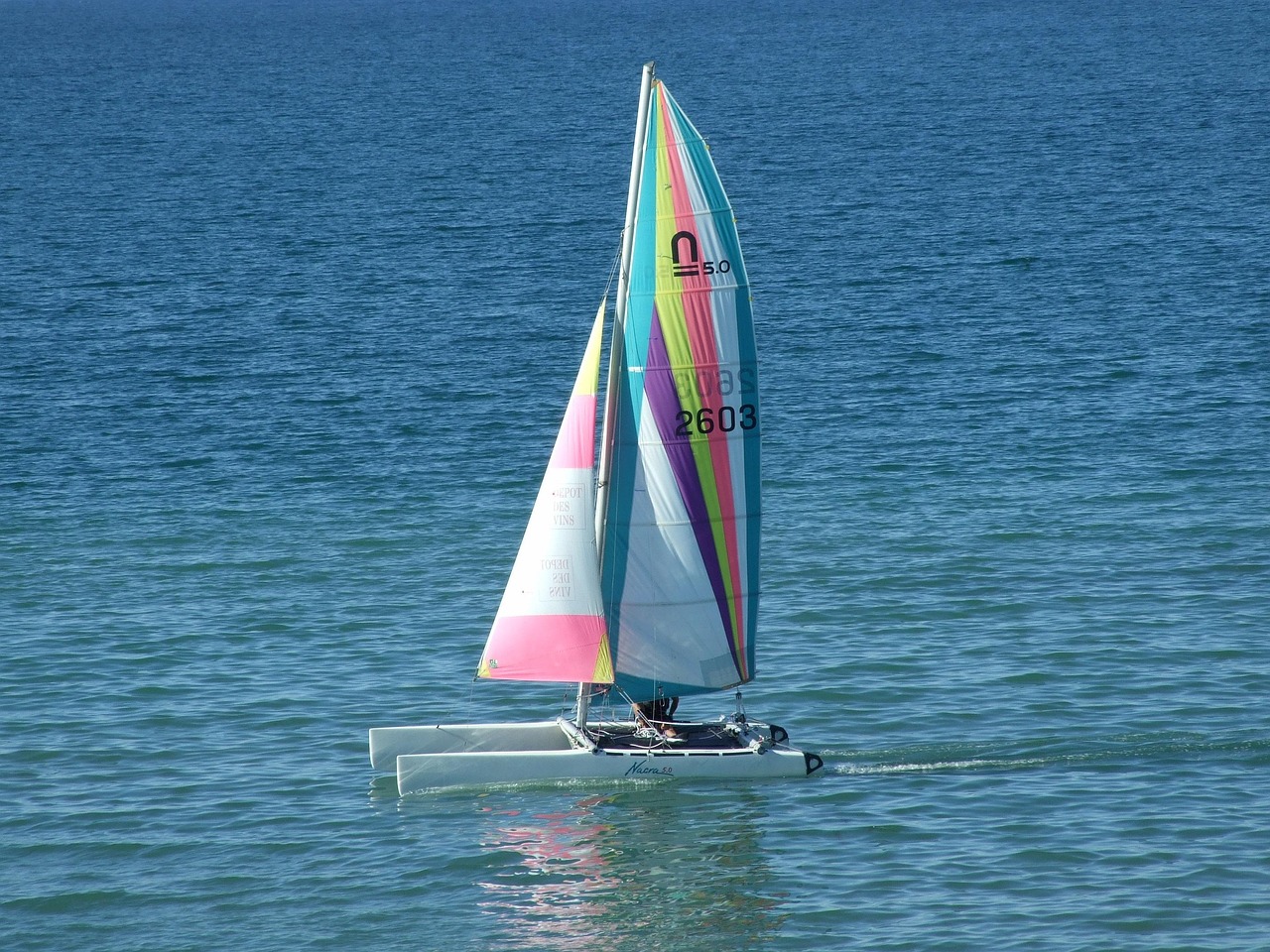 Catamaran Sail Sea - Free photo on Pixabay