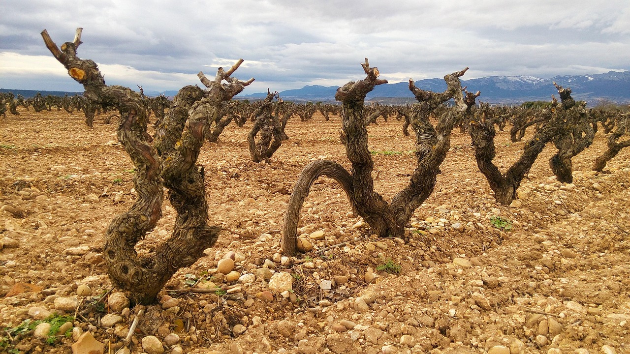 Fuenmayor La Rioja Spain - Free photo on Pixabay