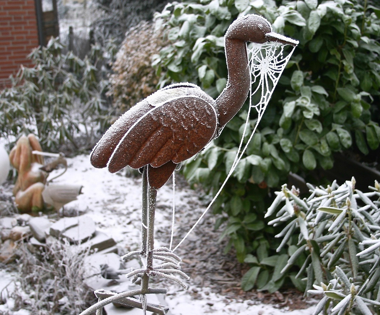Winter Frost Stillleben - Kostenloses Foto auf Pixabay - Pixabay