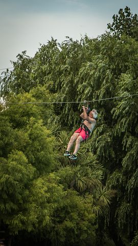 20+ Free Zipline & Adventure Photos - Pixabay